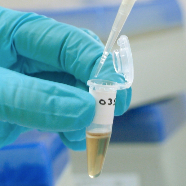 DNA Analyst Training – Global Forensic and Justice Center