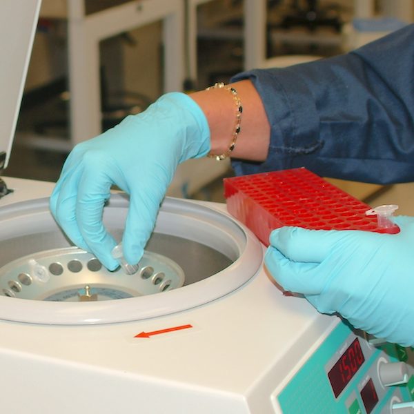 DNA Analysis – Global Forensic and Justice Center