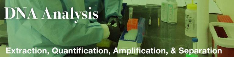 DNA Analysis – Global Forensic and Justice Center